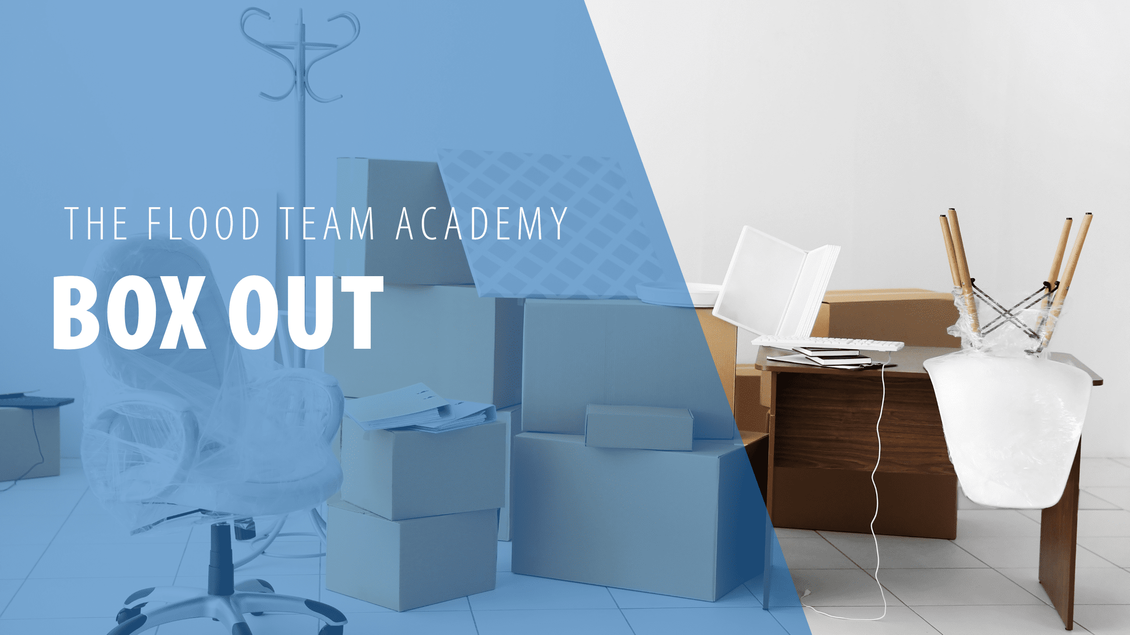 Box Out - The Flood Team