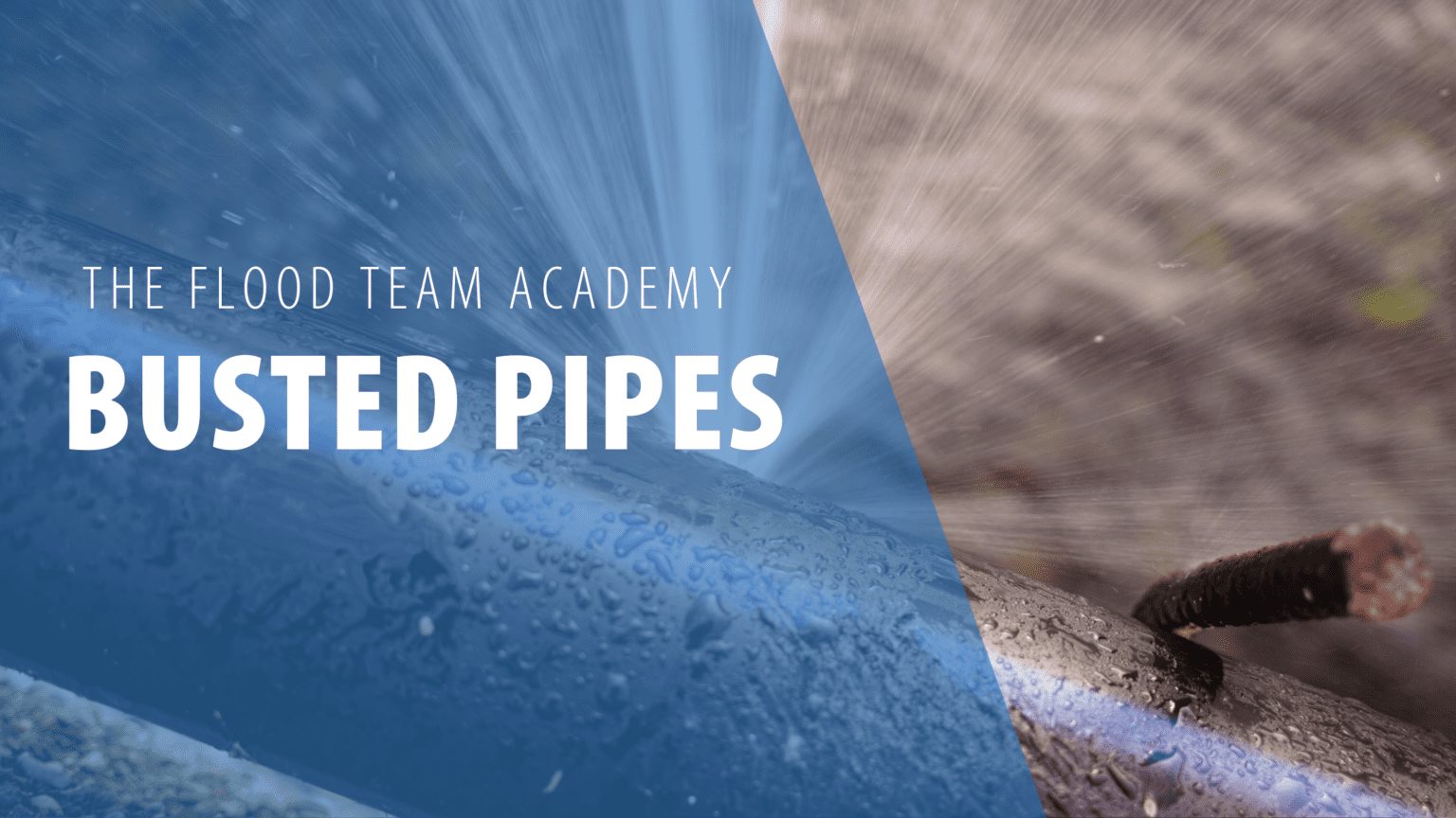 Busted Pipes - The Flood Team