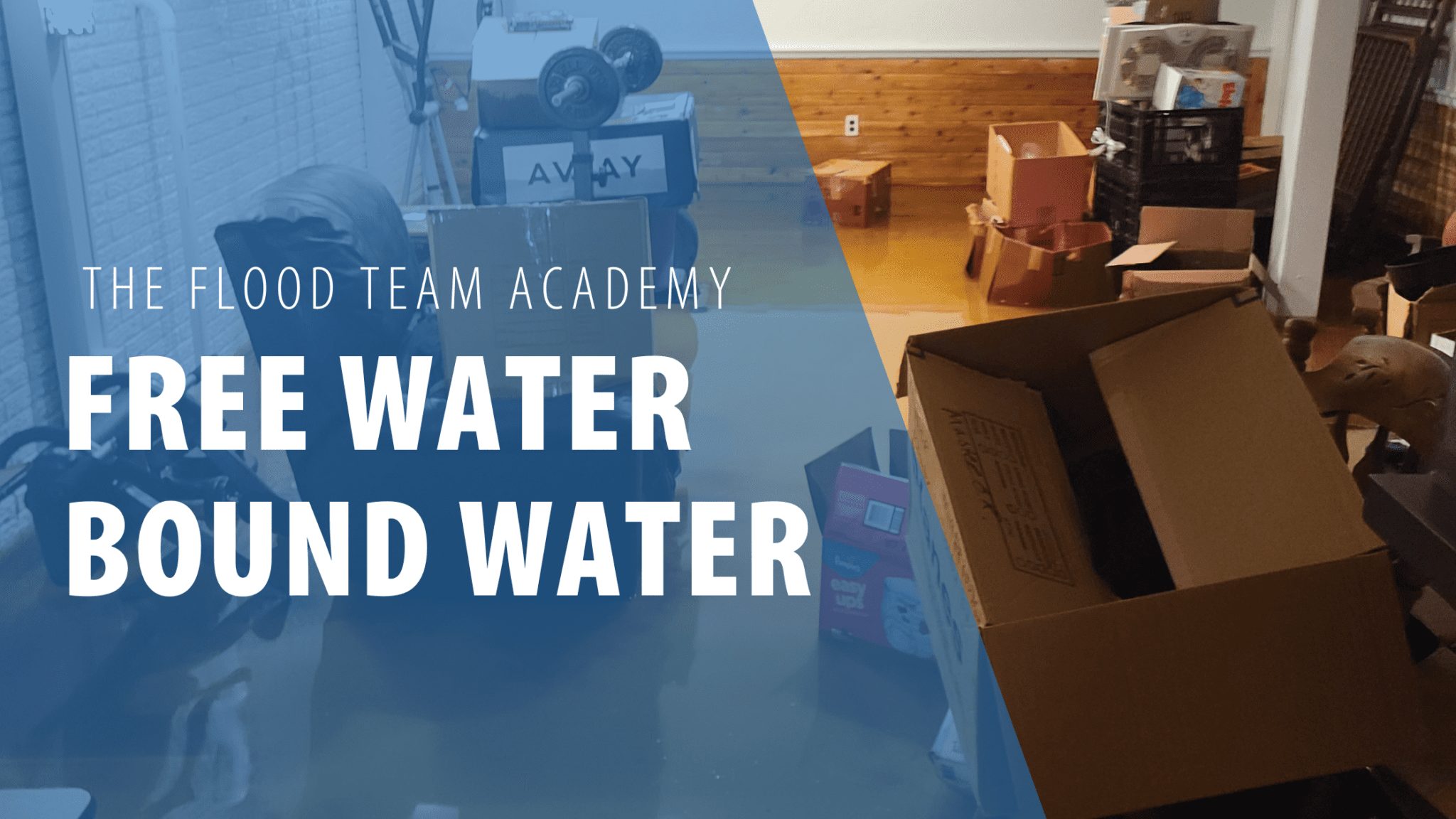 Free Water & Bound Water - The Flood Team