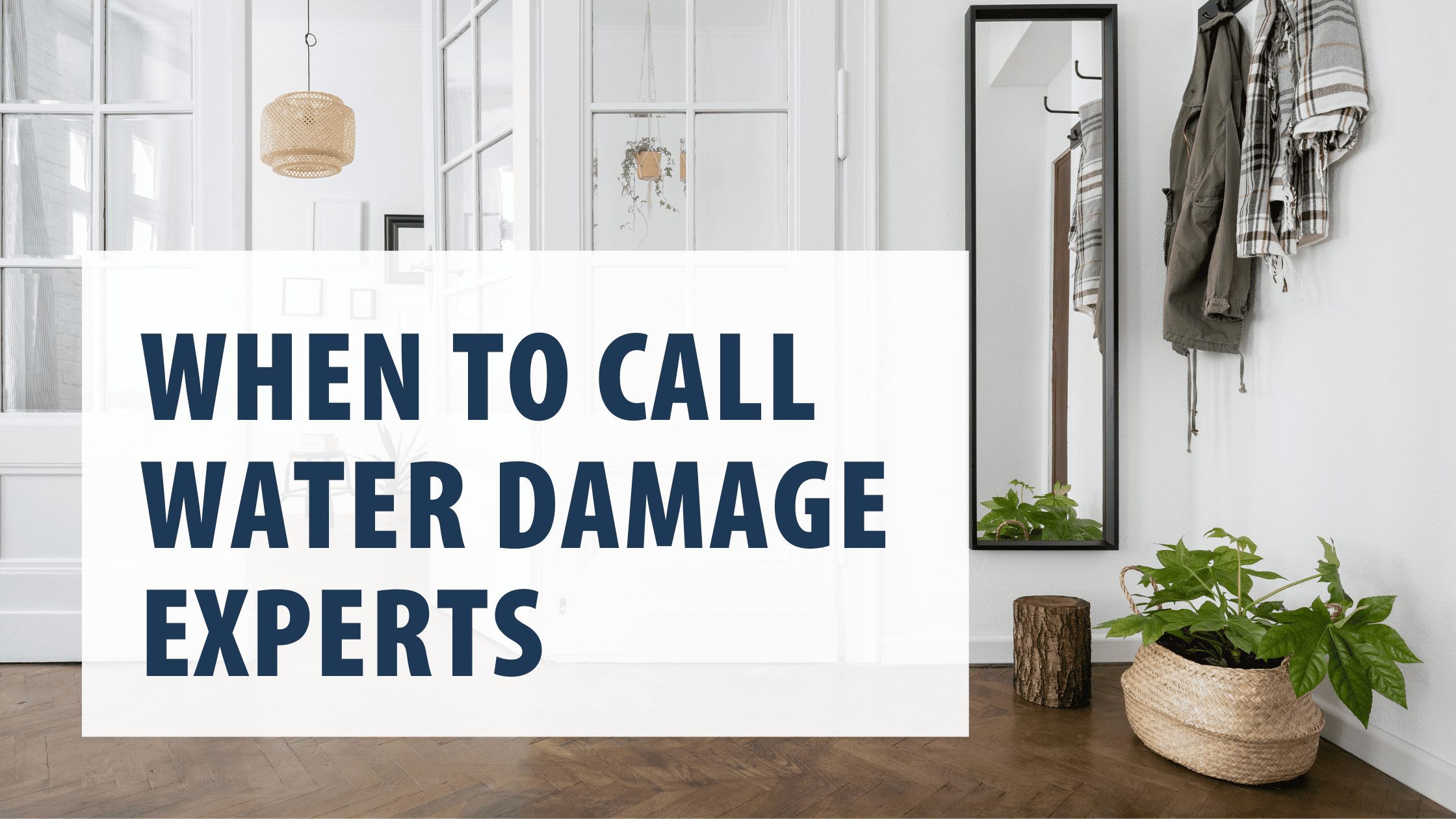 How To Know When To Call The Experts On Water Damage Repair - The Flood ...