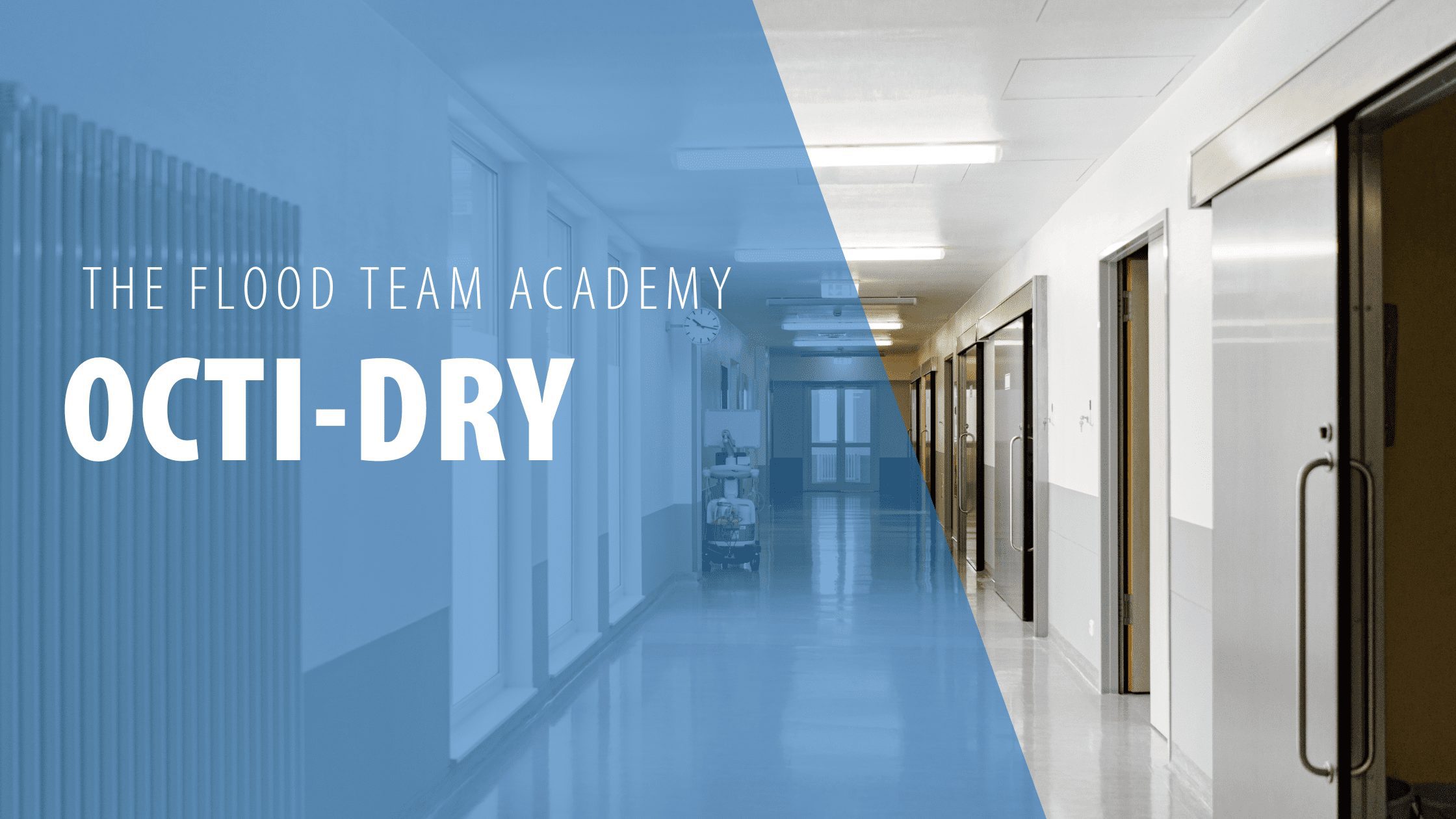 Octi-Dry - The Flood Team