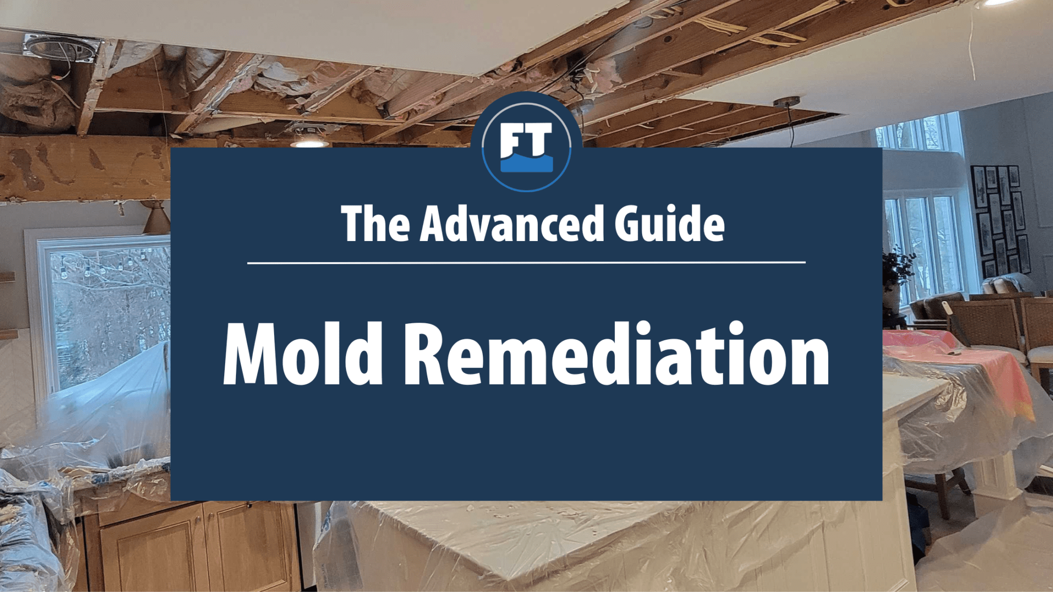 The Advanced Guide to Mold Remediation | The Flood Team