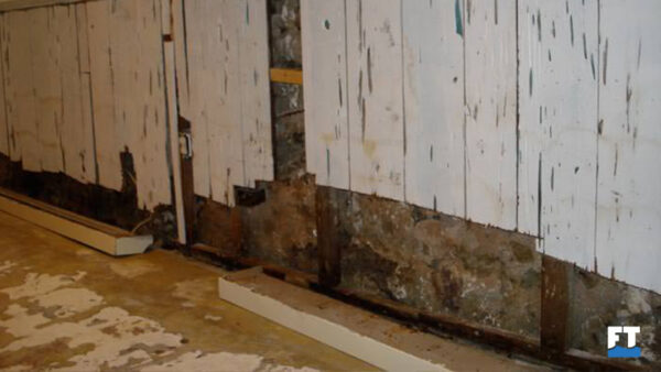 Dangers of Basement Flooding on Health and Structural Damage