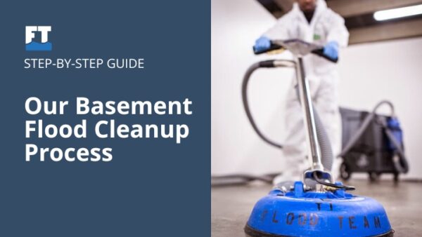Basement Flood Cleanup Process: Step-by-Step Guide